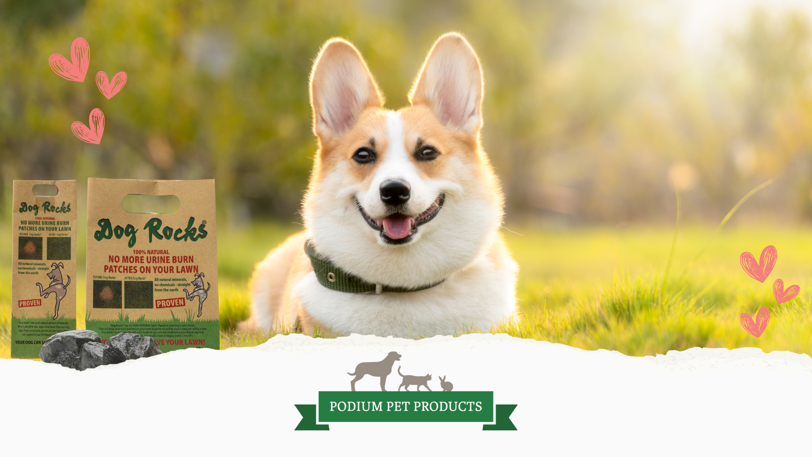 Our Valentine’s message – love your pet and your garden! - Podium Pet Products