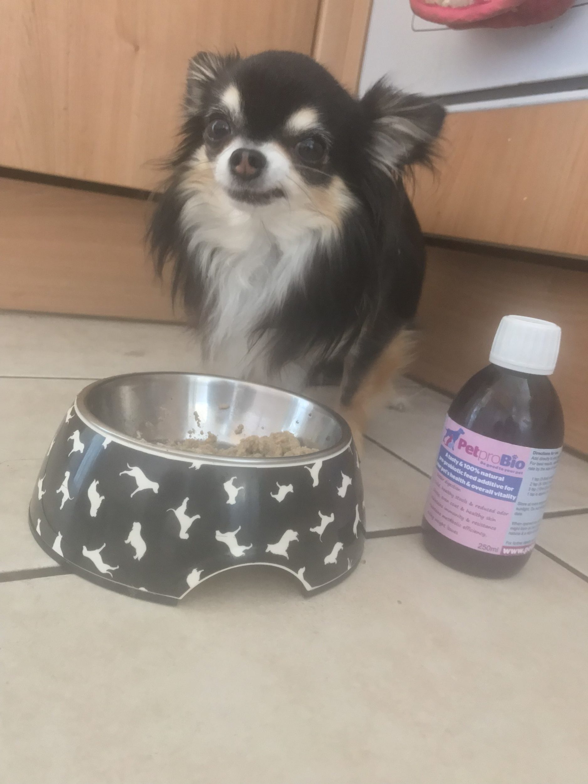 PetproBio | Give Your Pet A Daily Dose Of Goodness For Your Pet