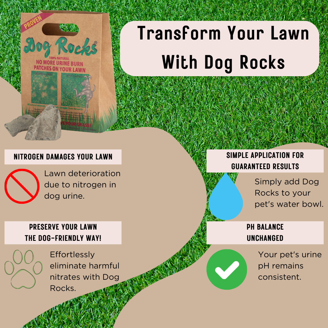 Dog Rocks 600g Bulk Bag - Stop dog urine burn marks naturally