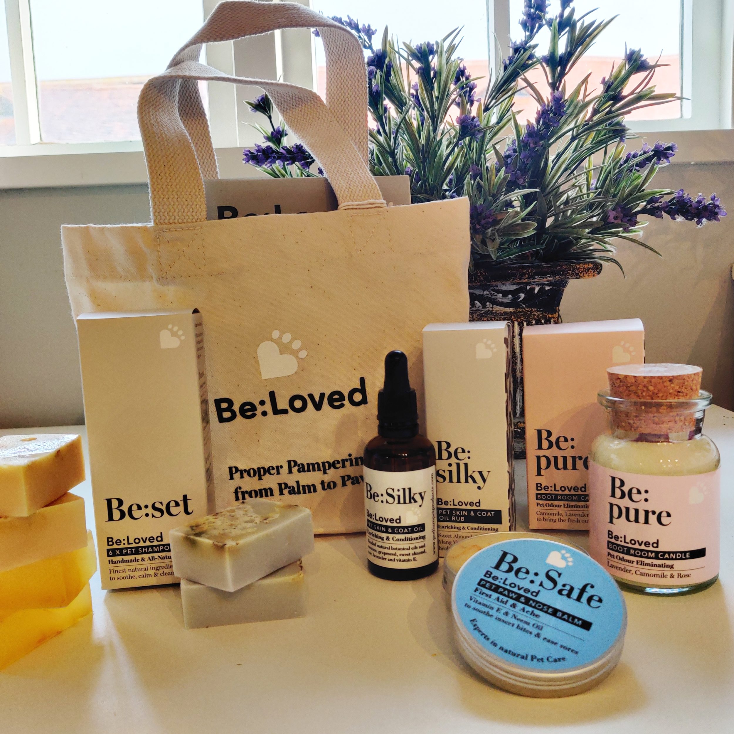 Be:Loved December - Podium Pet Products