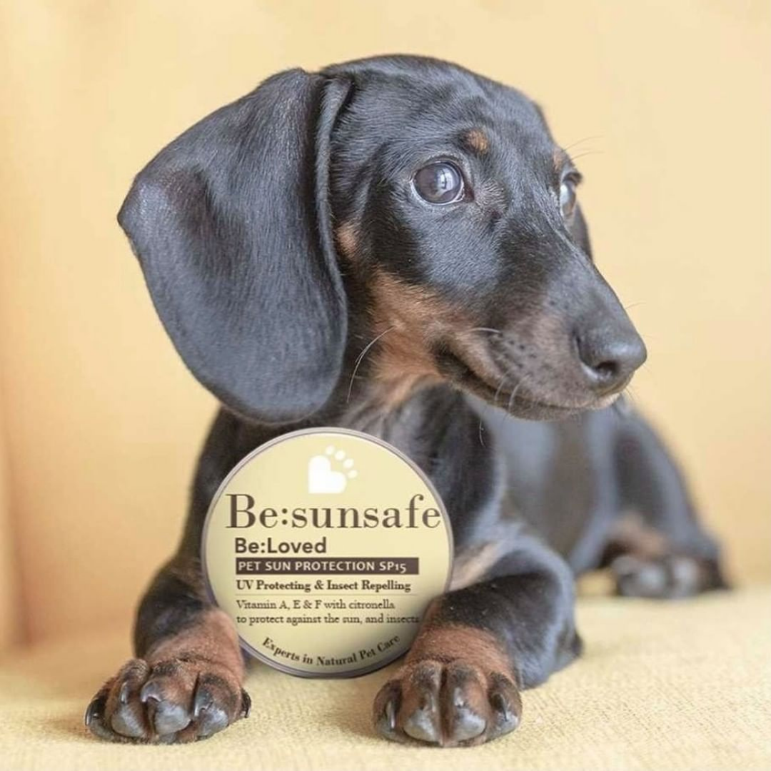 Be:Loved - May - Podium Pet Products