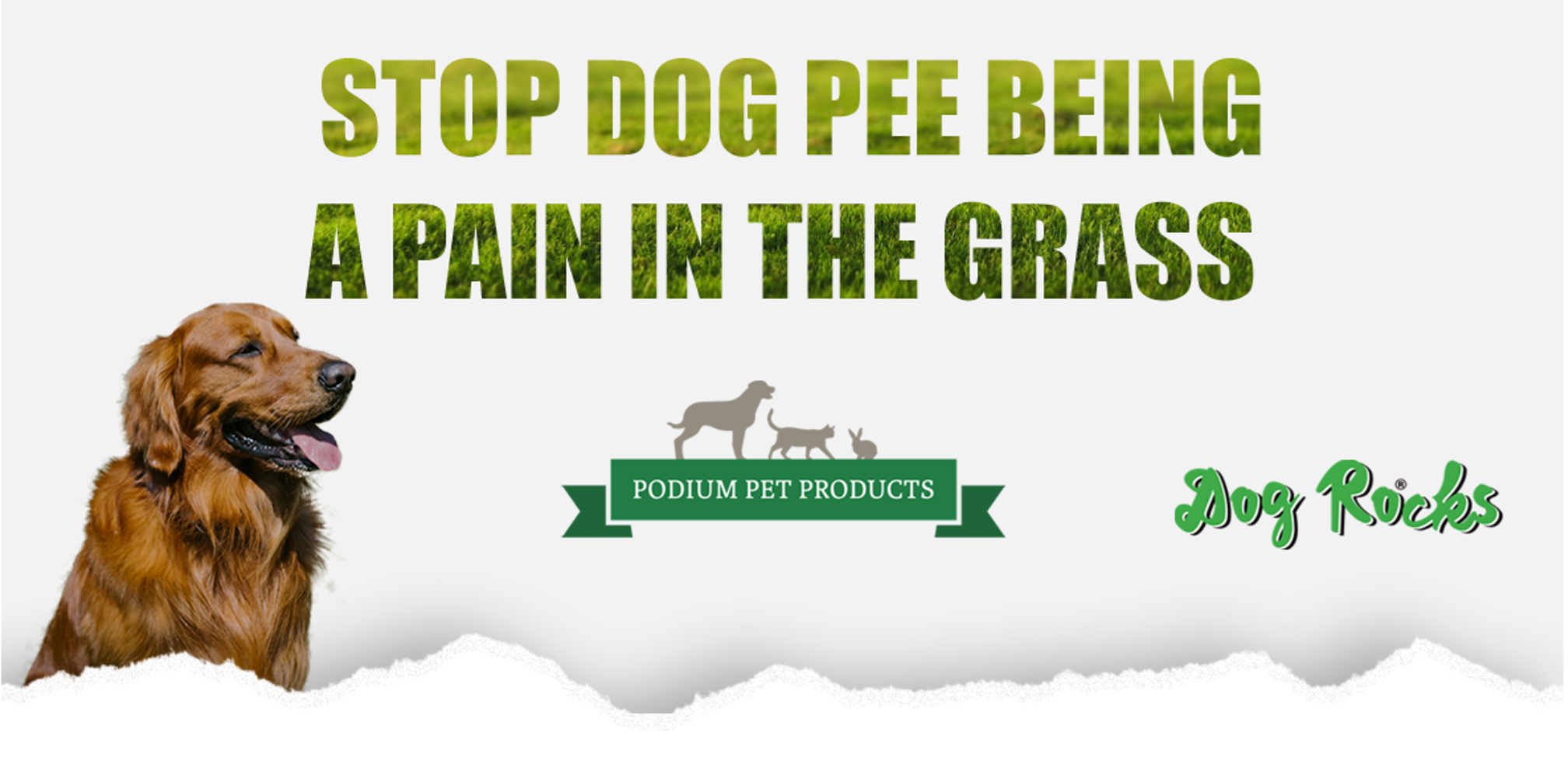 Podium Pet Products - The Who & The Why - Podium Pet Products