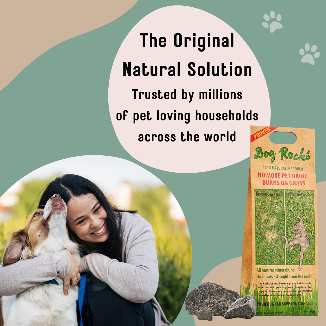 Dog Rocks - 100% natural solution to stop dog urine burning your lawn